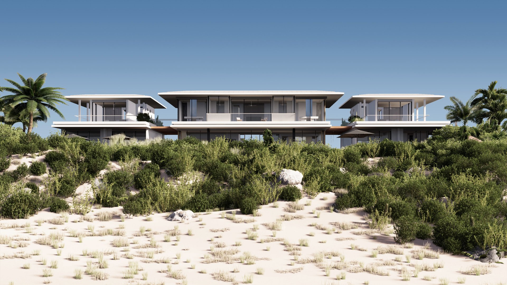 Gull Wing | Blee Halligan